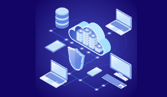 Avasec - Practicing company secretarial software