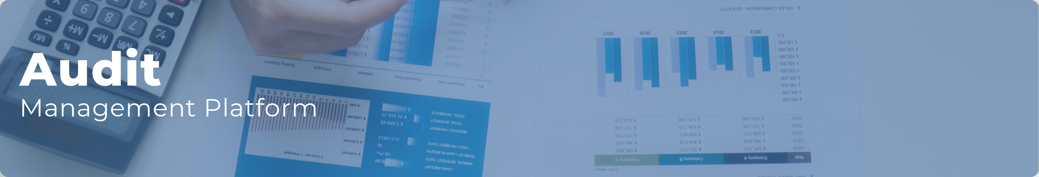 Avacom - Audit Management Software